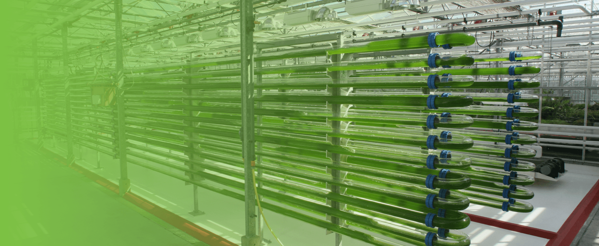 The Research facility for biobased products of the future