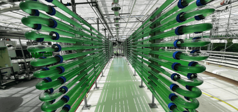 About AlgaePARC | AlgaeParc