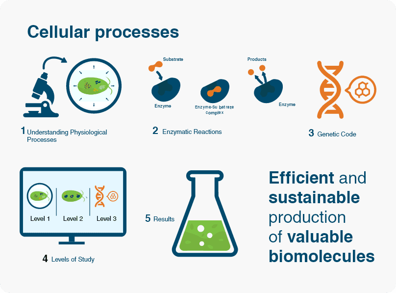 Our platform | AlgaeParc