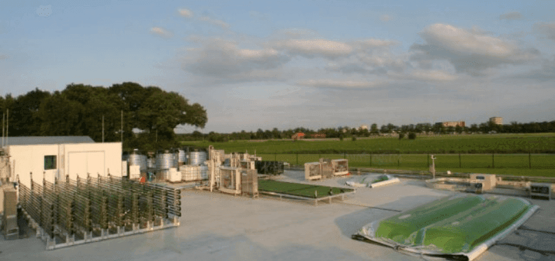 About AlgaePARC | AlgaeParc