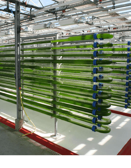 The Research facility for biobased products of the future