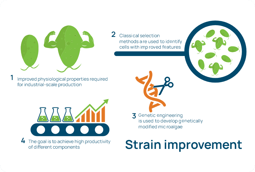 Our platform | AlgaeParc